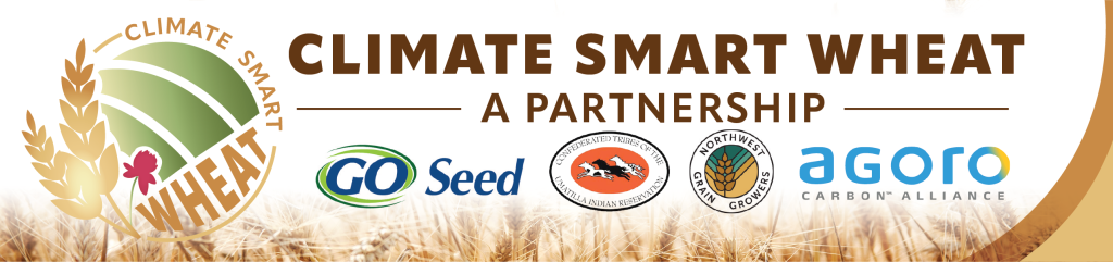 Climate Smart Wheat - Sustainable Agriculture for a Healthier Planet